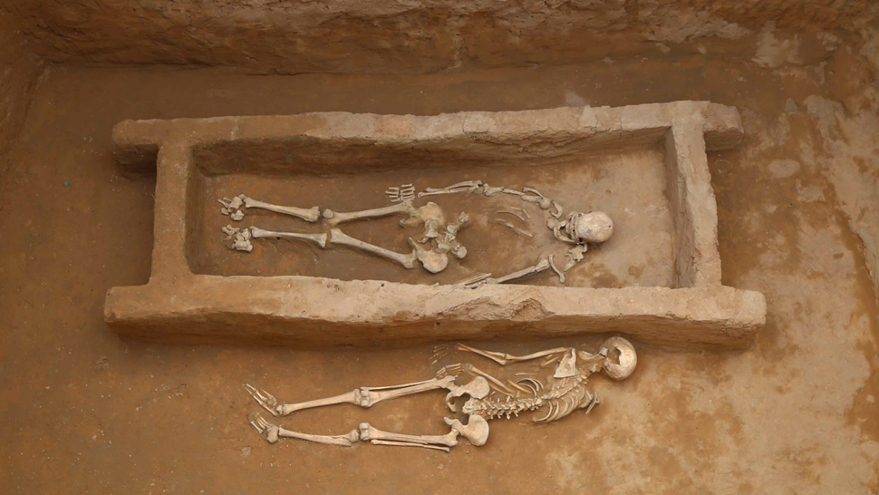 Male human heads found in a 'skull pit' in an ancient Chinese city hint ...