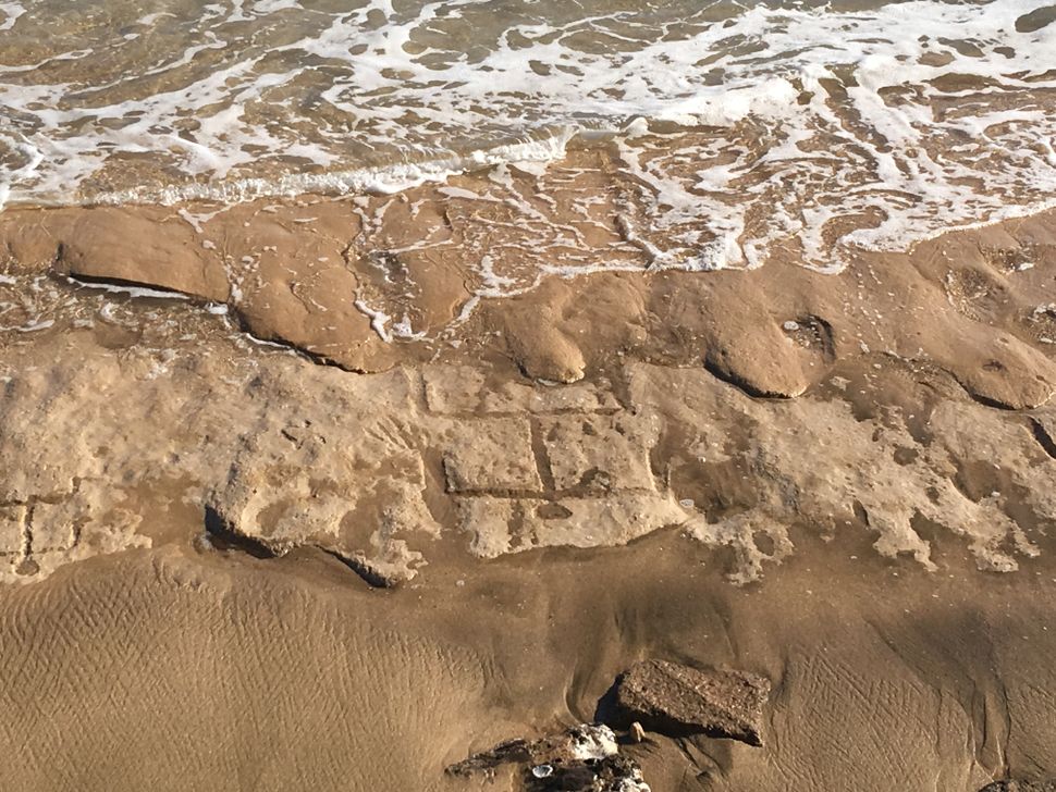 In Photos: Petroglyphs Discovered in Hawaii | Live Science