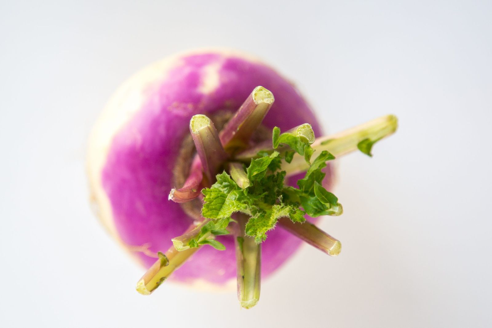 What are neeps? All you need to know about traditional Burns Night dish ...