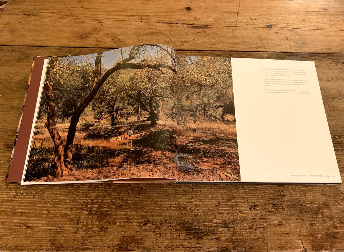 Andy Rouse photography book will delight tiger lovers | Digital Camera ...