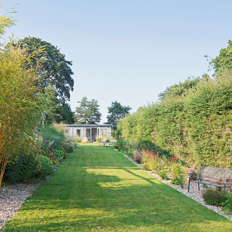 How to get rid of moss in a lawn: 5 steps to a healthy grass | Ideal Home