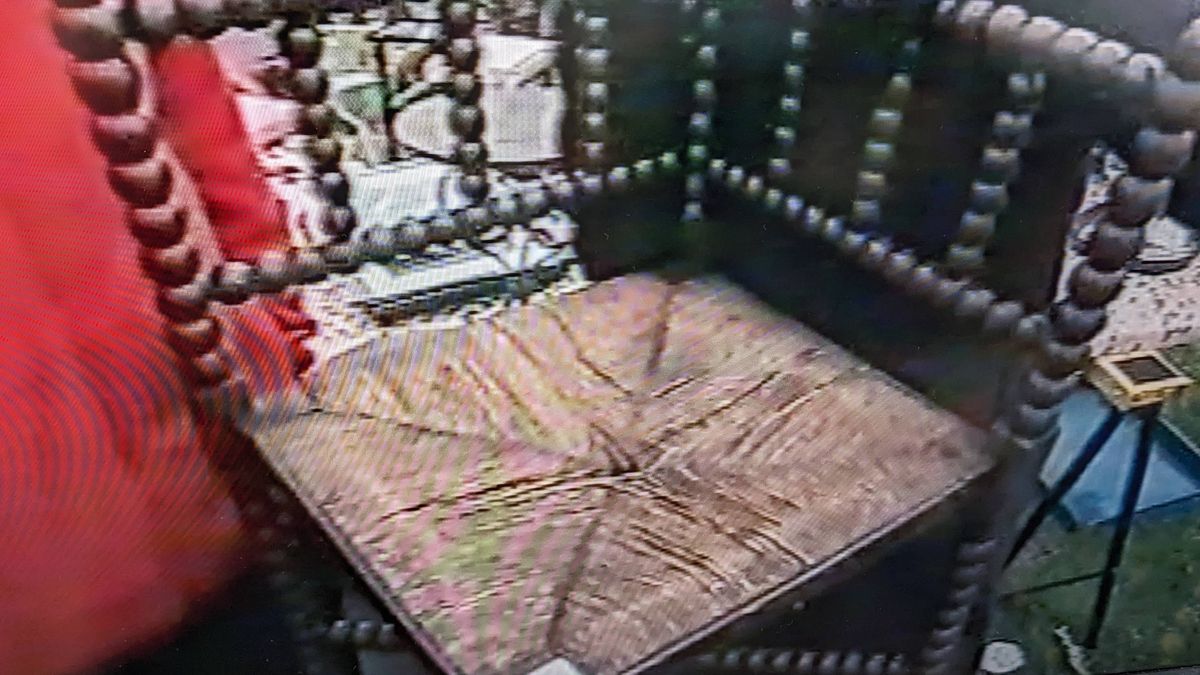 I was disastrous on Bargain Hunt and I've never got over the horrendous ...
