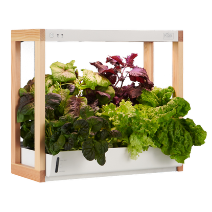 5 Indoor Plant Growing Systems to Help Your Crops Thrive | Livingetc