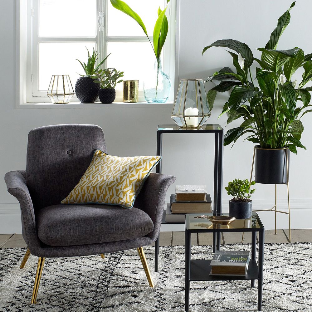 Micro trend: Tall planters | Ideal Home
