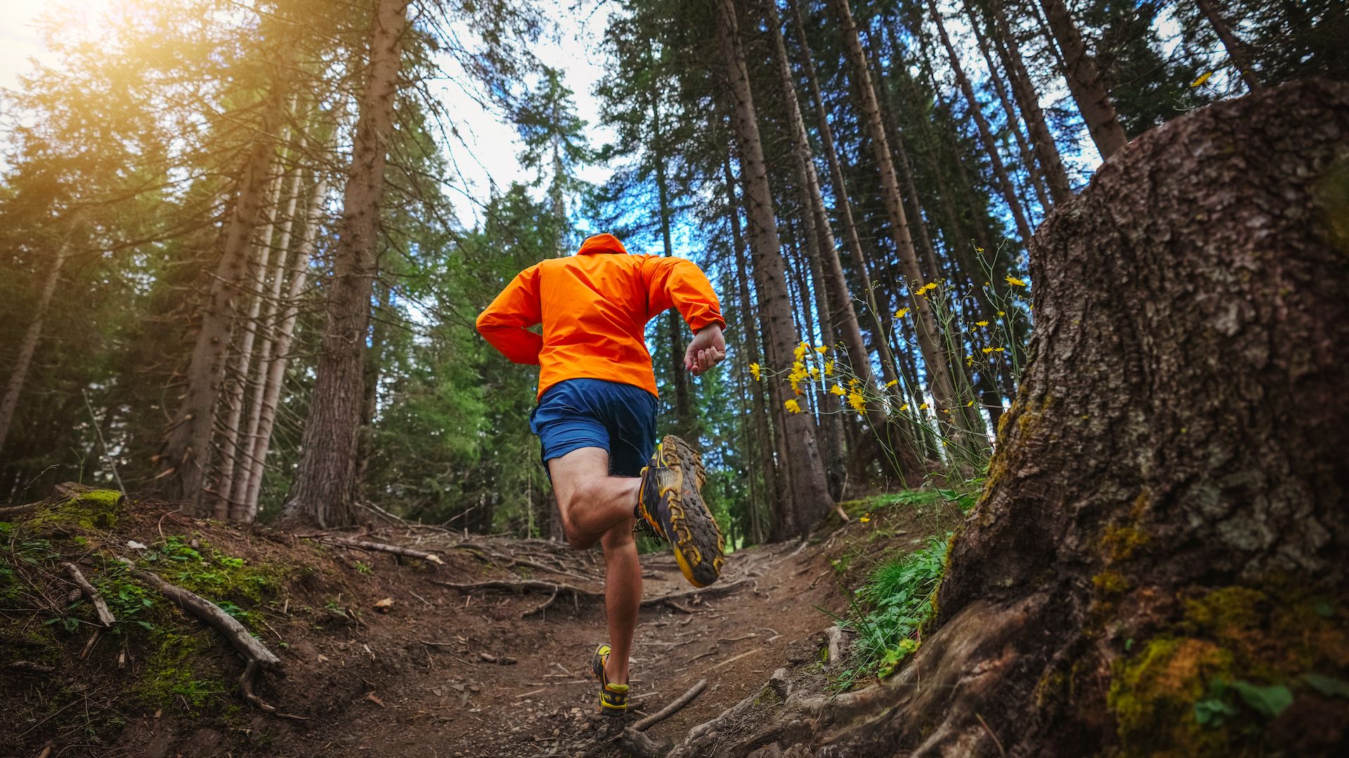 For the first time ever, 7 runners are on final loop of the Barkley ...