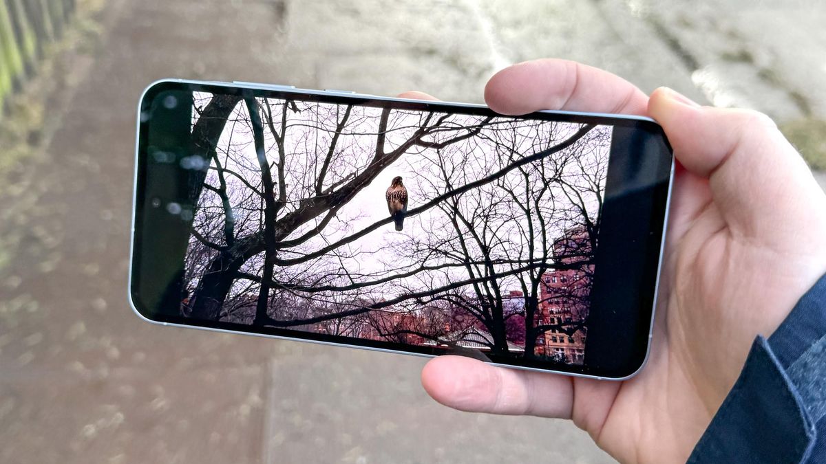 Samsung Galaxy A55 review: A great cheap phone all-around | Tom's Guide