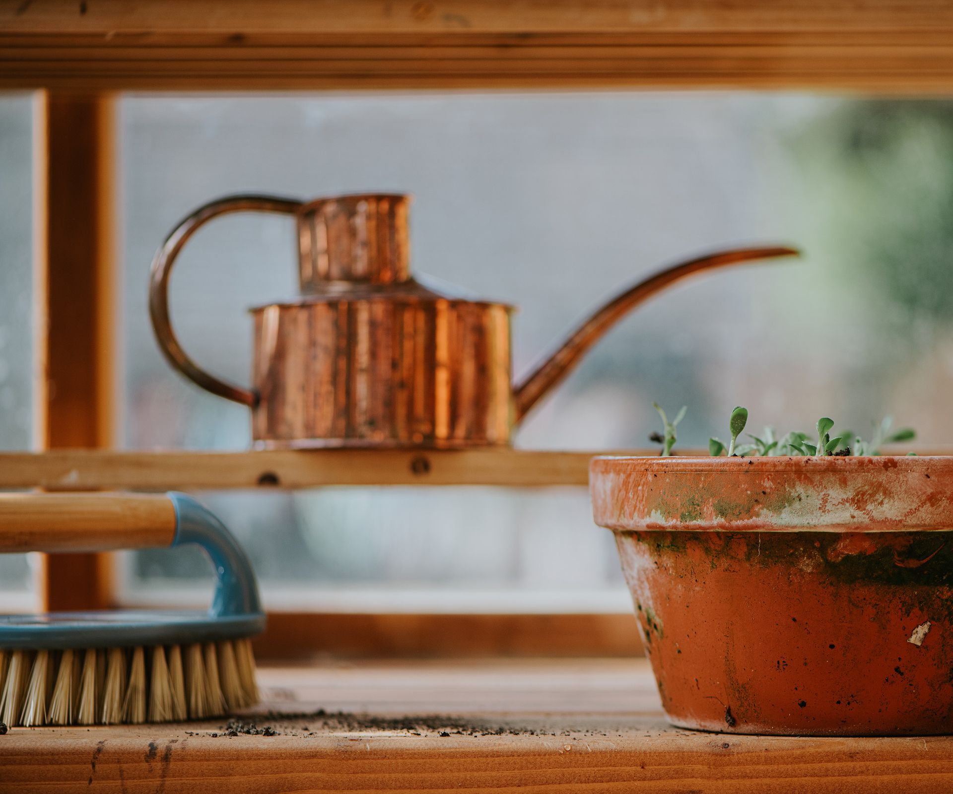Learn how to clean a greenhouse: 4 essential steps | Homes and Gardens