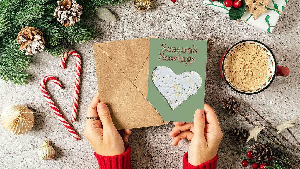 How To Make Plantable Seed Greeting Cards: Step-by-Step Guide ...