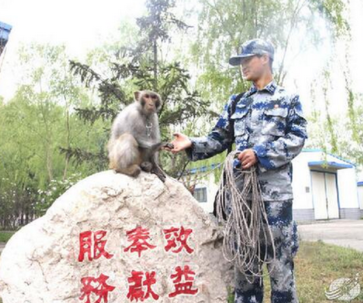 China has a small contingent of trained monkeys protecting its air ...