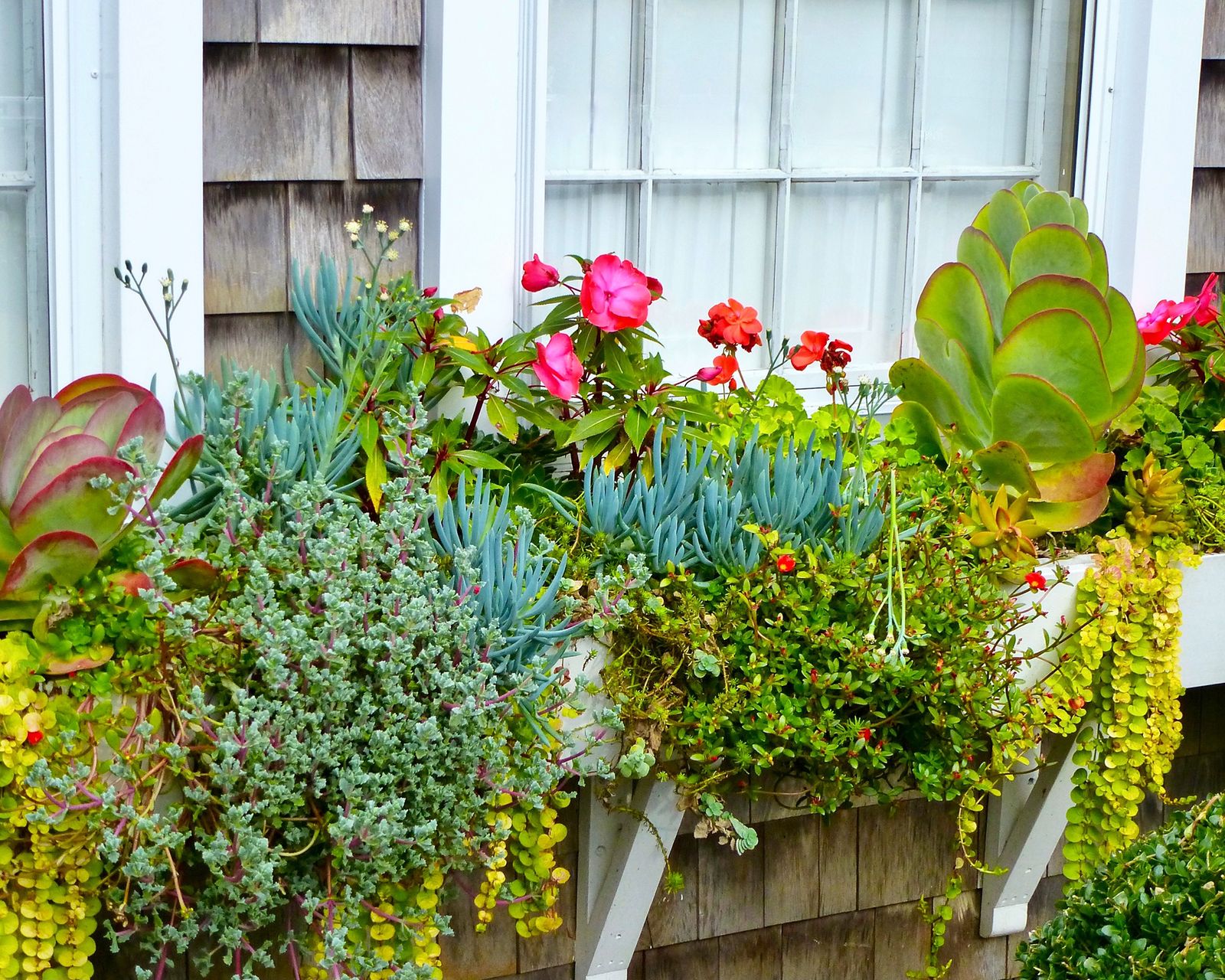 10 Beautiful Window Box Ideas For Flowers And Edibles | Gardening Know How