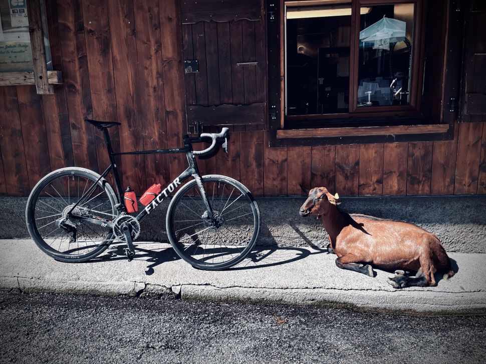 Factor O2 VAM review: A racy featherweight you'll buy with your heart ...