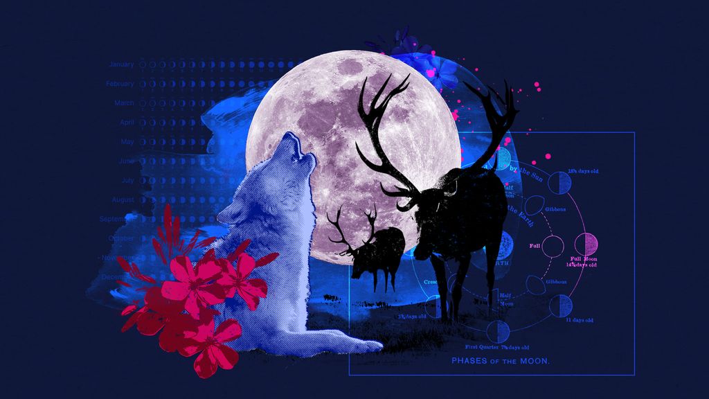 Full moon calendar: dates and times for every full moon this year | The ...