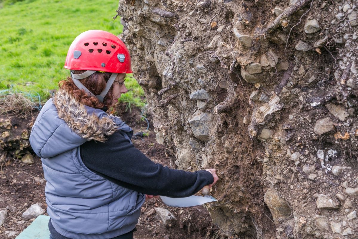 In Photos: Medieval Skeleton Entangled in Tree Roots | Live Science