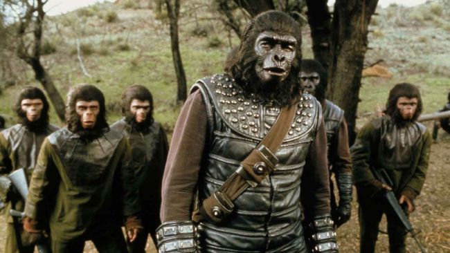 How To Watch The Planet Of The Apes Movies In Order | Cinemablend