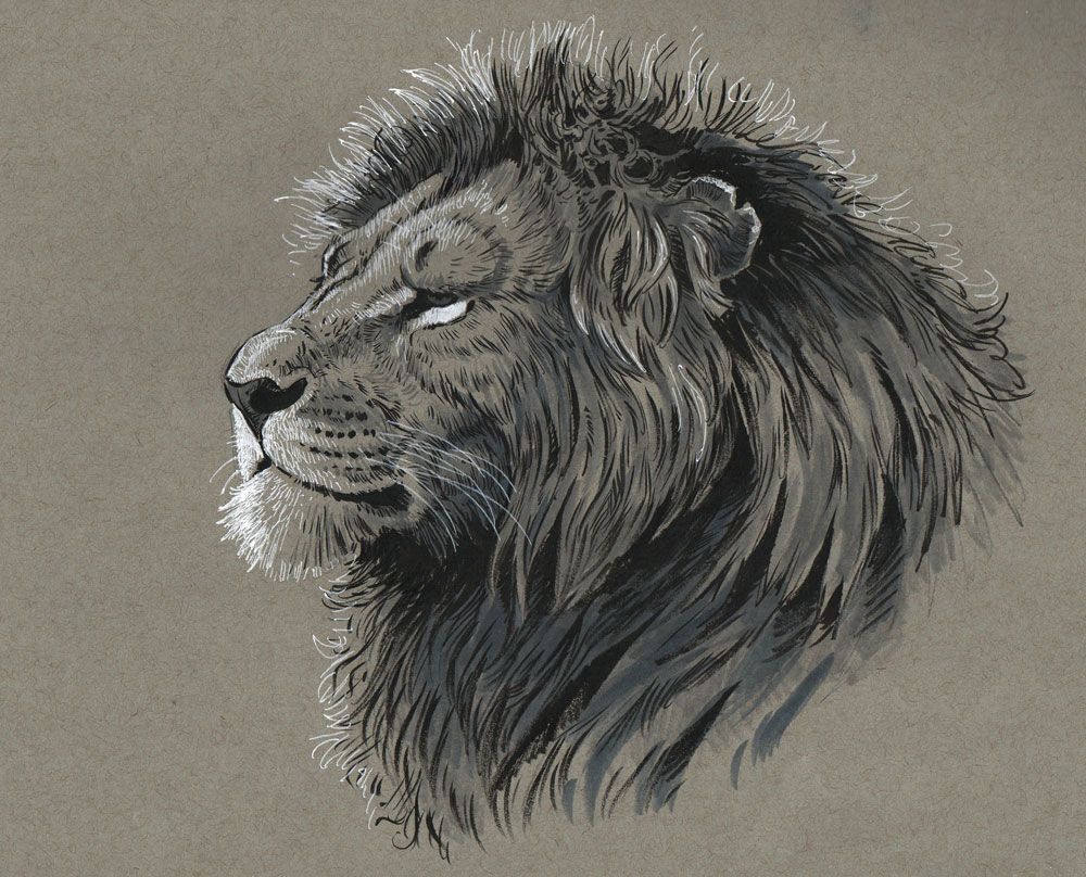 How to draw animals: 15 top tips | Creative Bloq