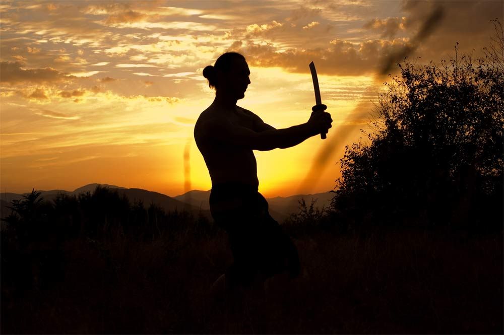 Fight, Fight, Fight: The History of Human Aggression | Live Science