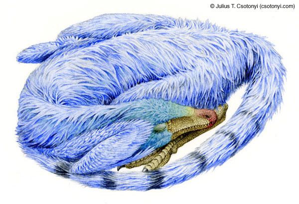 Avian Ancestors: Dinosaurs That Learned to Fly | Live Science