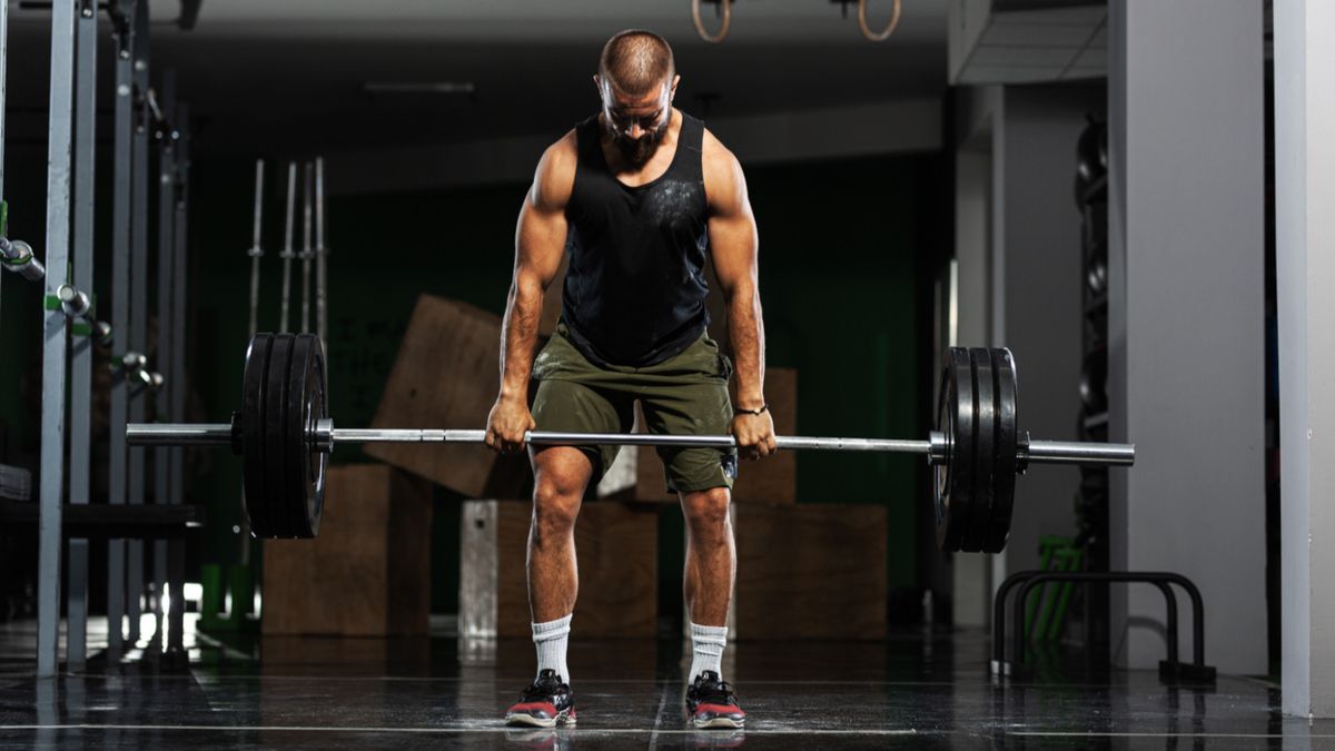 Why the 5x5 protocol is a beginner's go-to for substantial strength ...