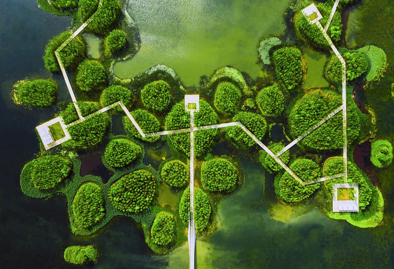 Junya Ishigami’s Zaishui Art Museum opens in China | Wallpaper*
