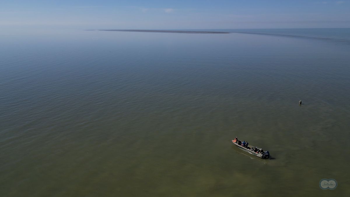 Russian scientists discover a new island in the Caspian Sea — the world ...
