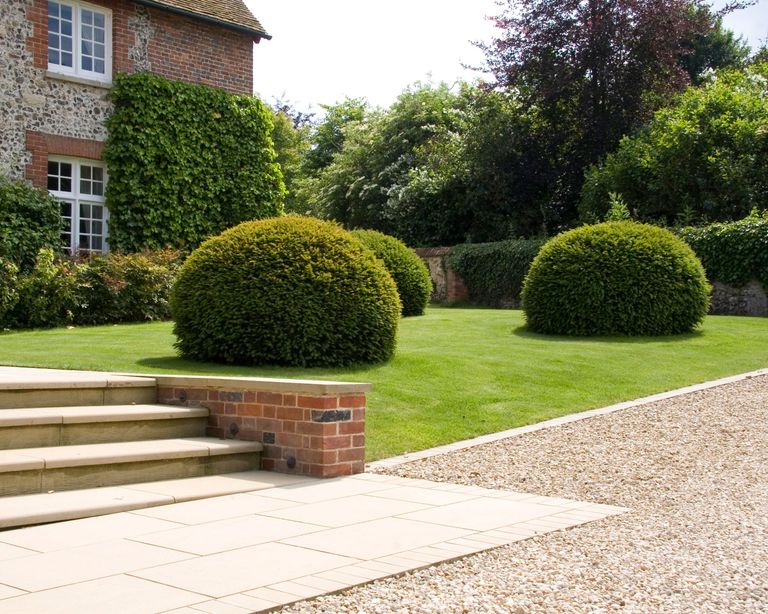 Topiary: 15 ways to use clipped evergreens in gardens | Homes and Gardens