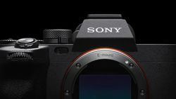Sony’s new supply chain will allow high-end cameras to use biomass ...