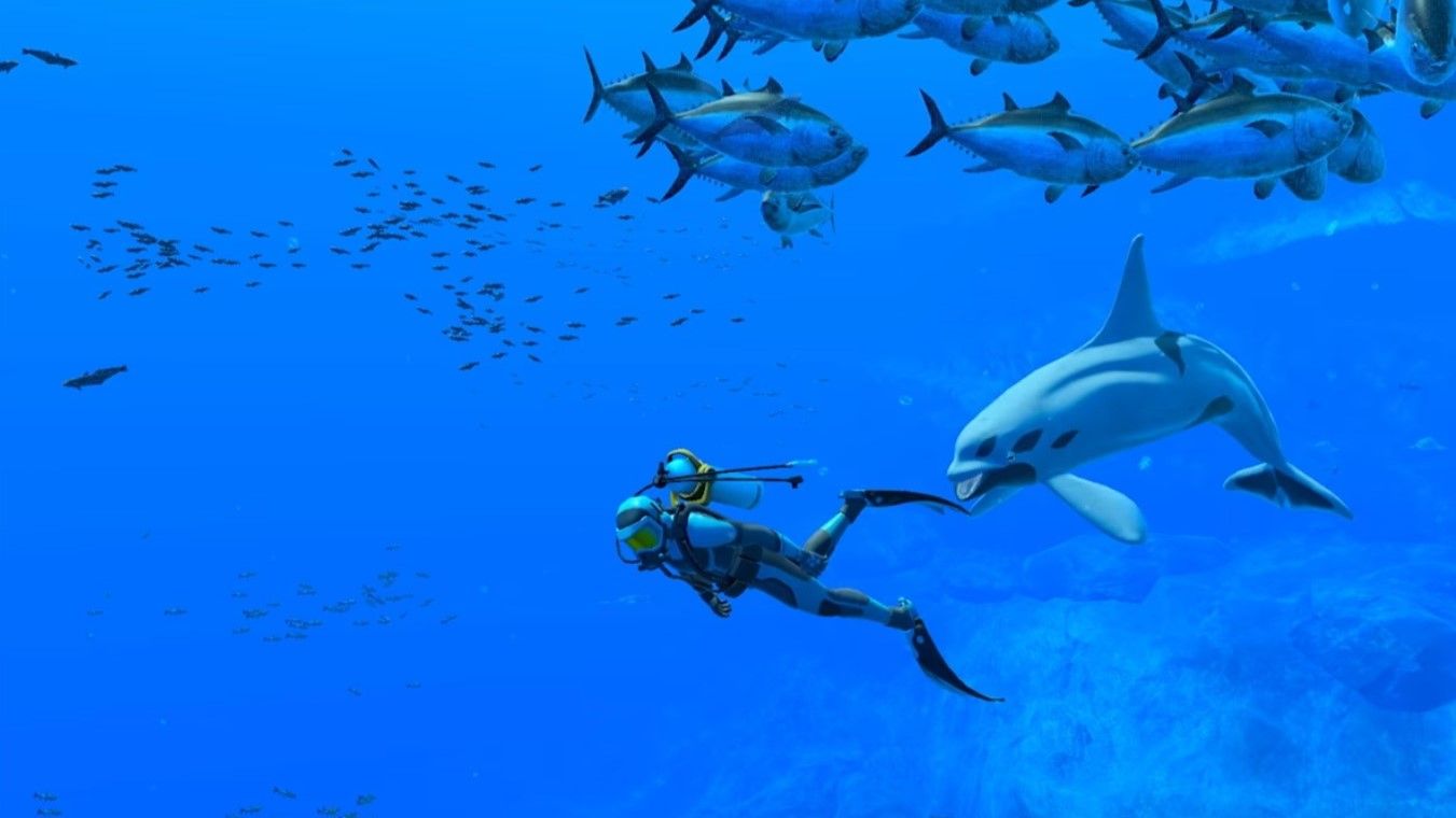 Endless Ocean is making a comeback on Nintendo Switch with an enormous ...