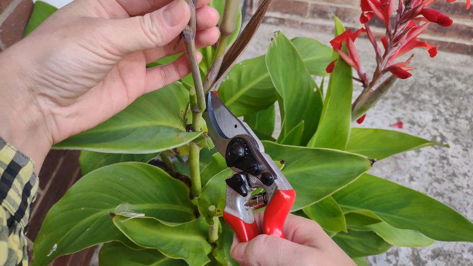 Best pruners 2024 | 9 recommended pruning shears for your yard | Top Ten Reviews