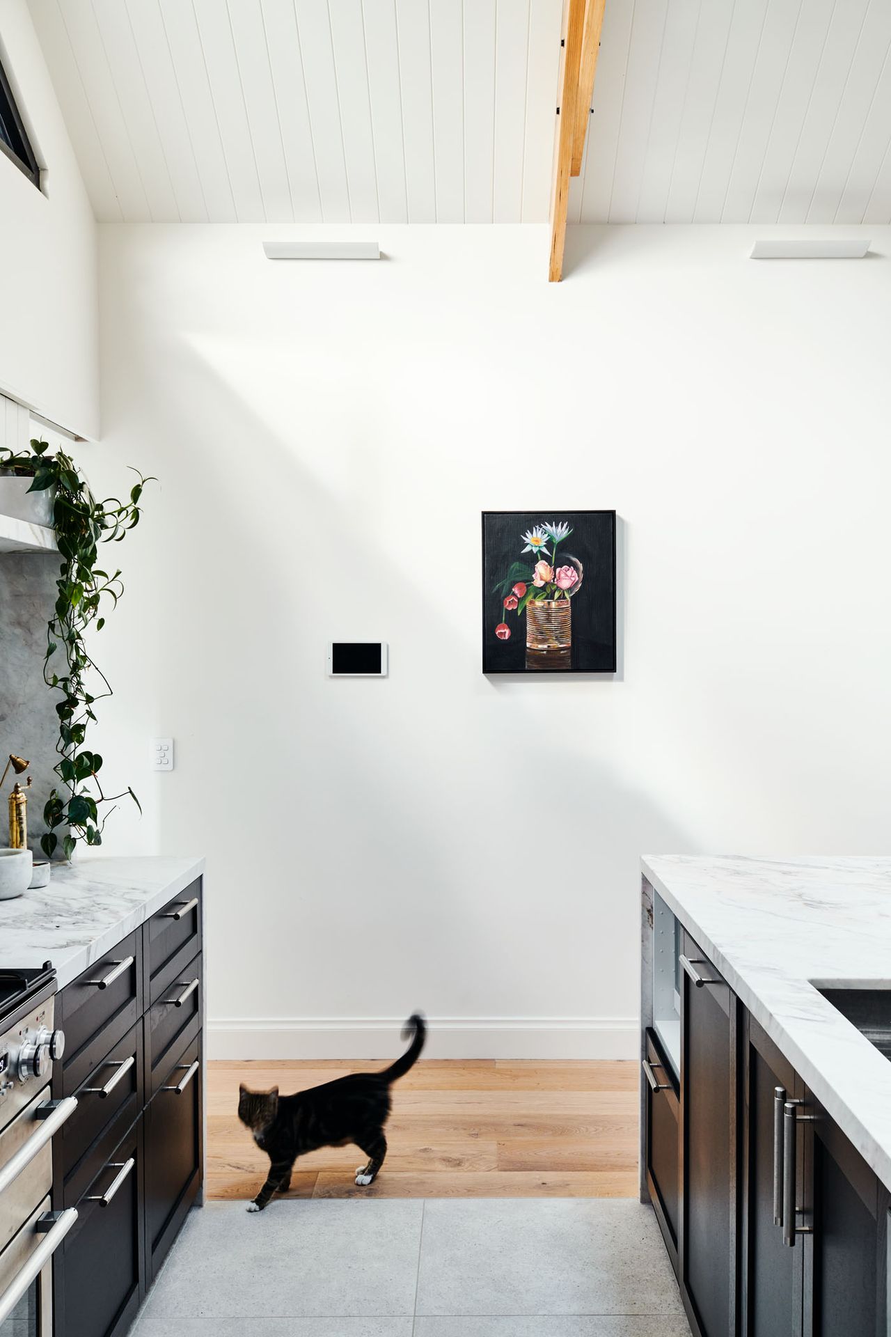 What are the Big Trends For Cabinet Pulls in 2024? | Livingetc