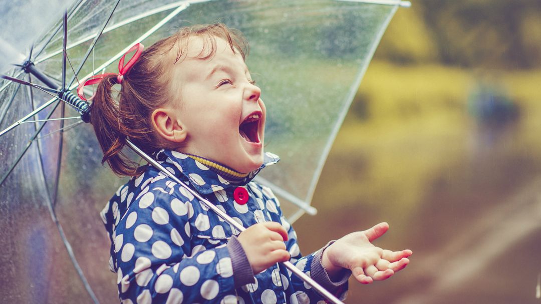 QUIZ: Discover your visual personality | Creative Bloq