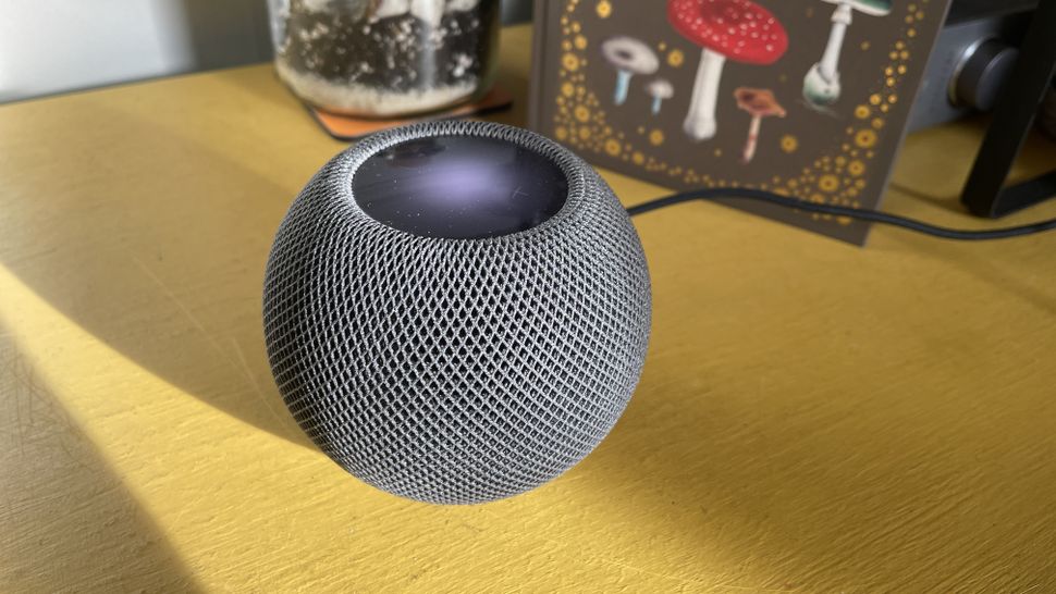 Apple HomePod Mini review: small but mighty smart speaker is a delight ...
