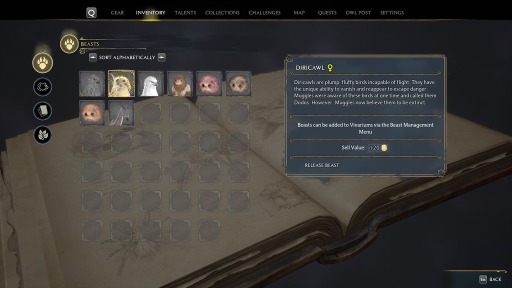 Hogwarts Legacy Diricawl location: Where to catch the bird | PC Gamer