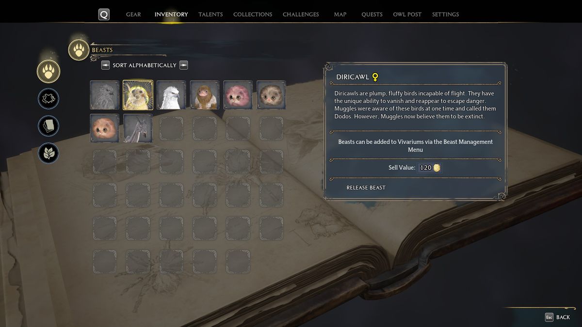 Hogwarts Legacy Diricawl location: Where to catch the bird | PC Gamer