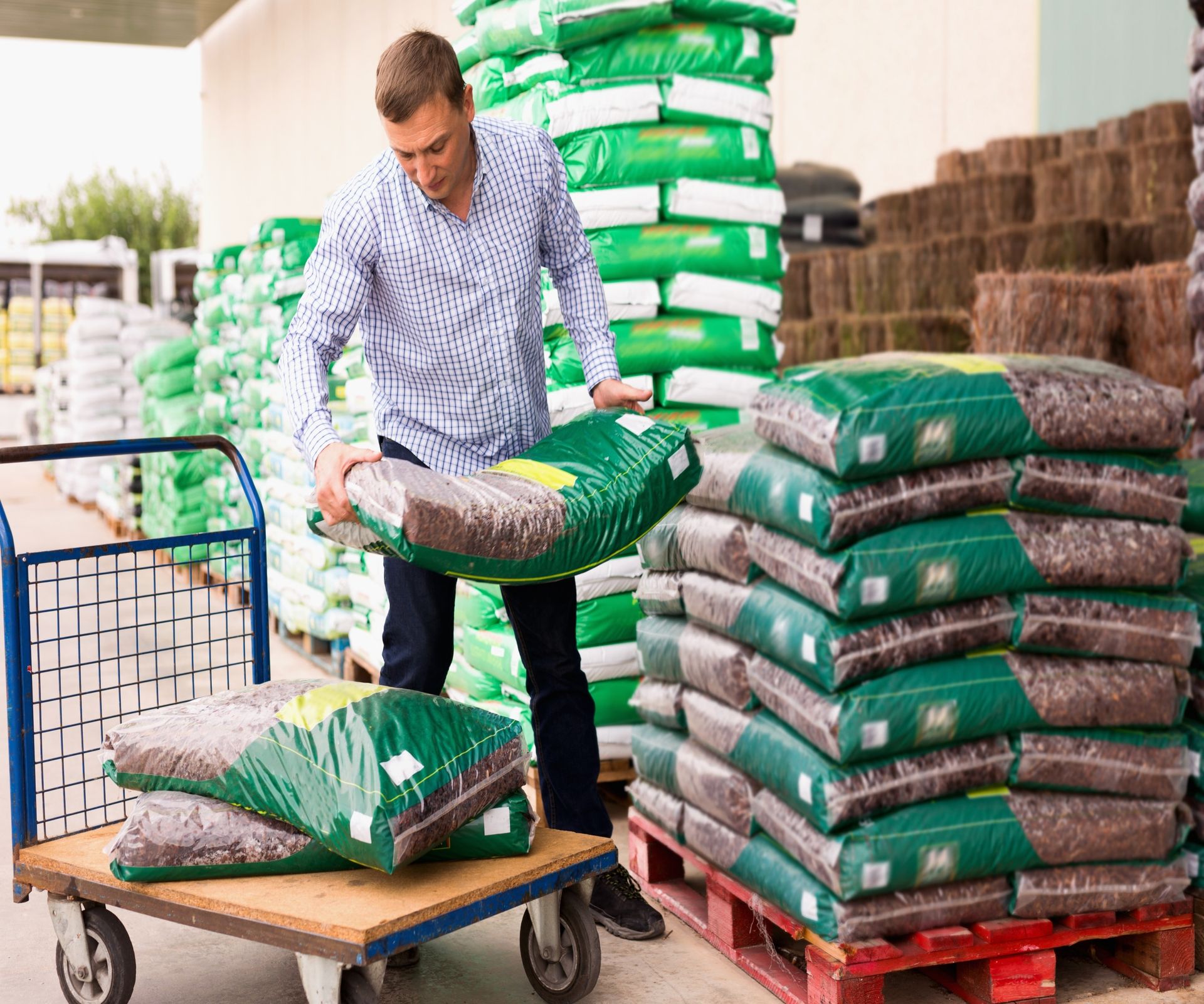 Peat-free compost options: how to make the right choice | Homes and Gardens