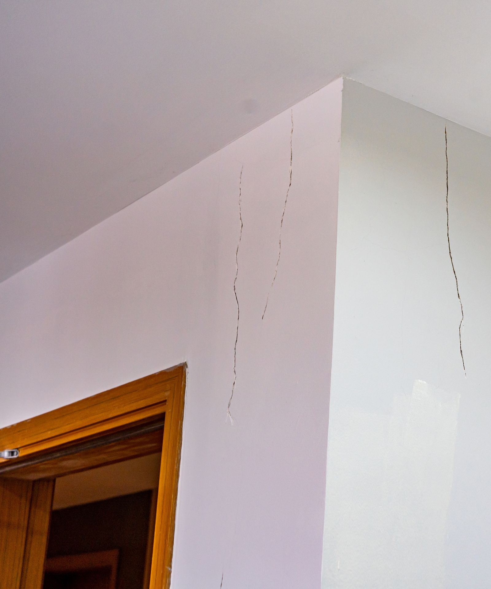 Why do ants come in the house? Pest pros reveal the reasons | Real Homes