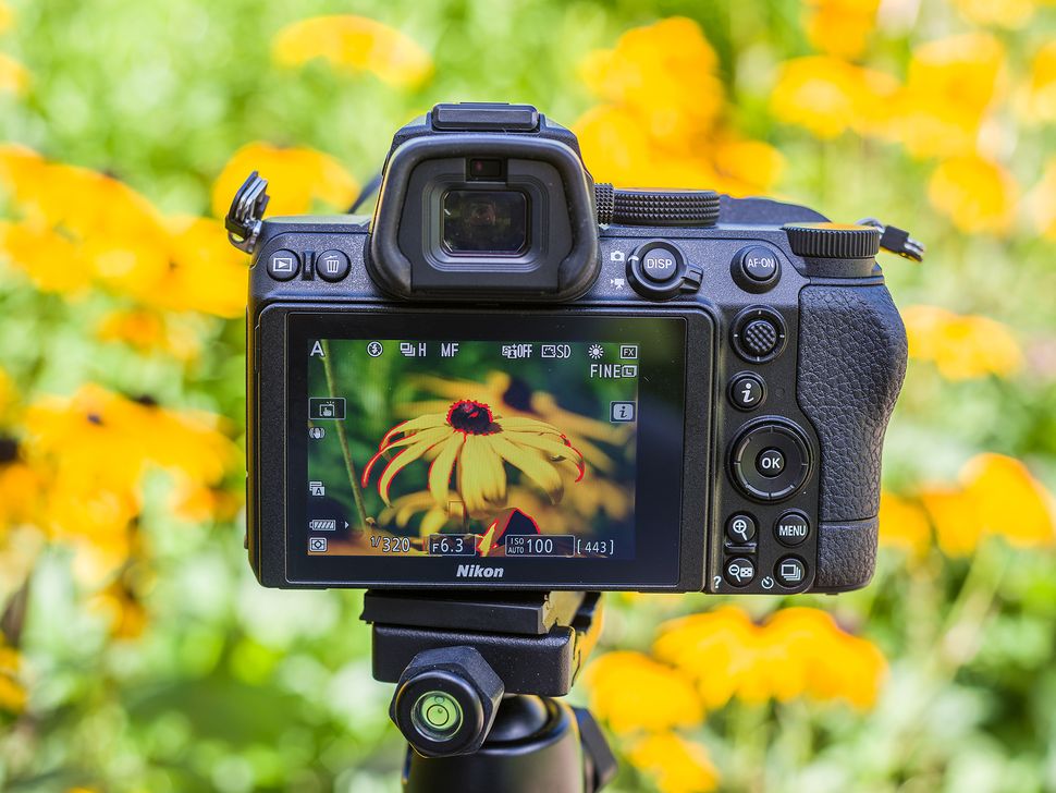 How to photograph flower close-ups in natural light | Digital Camera World