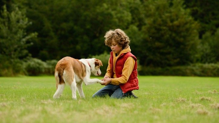 What’s the best dog for kids? | PetsRadar