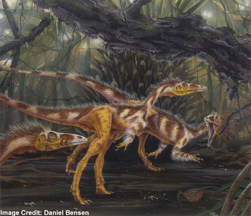 Avian Ancestors: Dinosaurs That Learned to Fly | Live Science