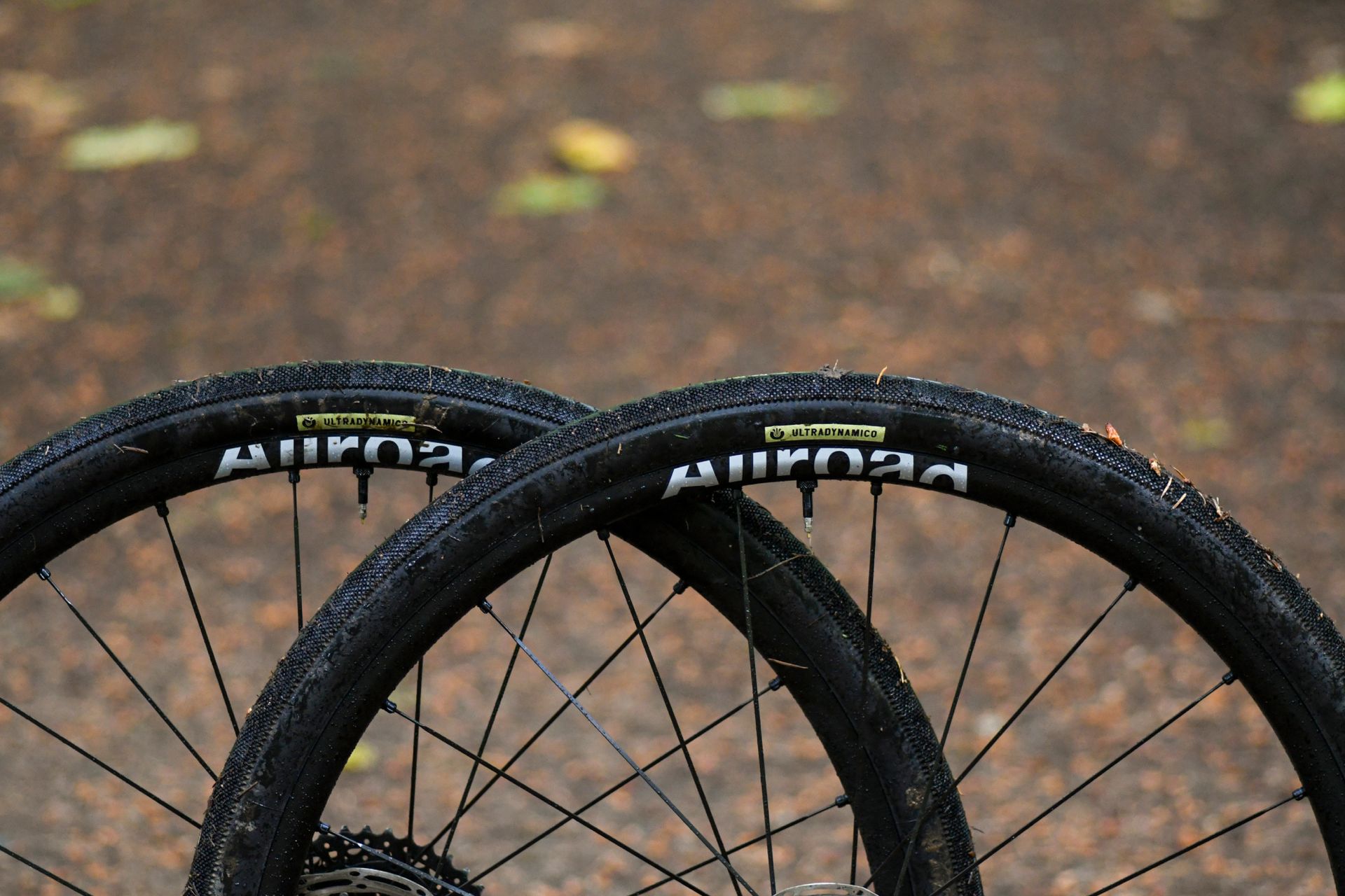 Mavic's latest foray into gravel impresses: the AllRoad S wheelset is ...