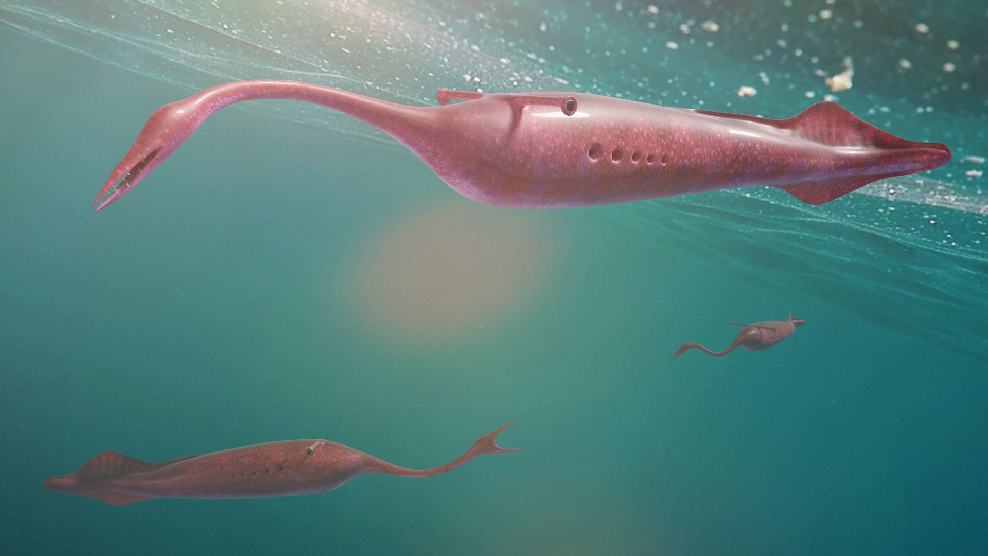 Mystery of prehistoric, alien-like tully monster deepens once more ...