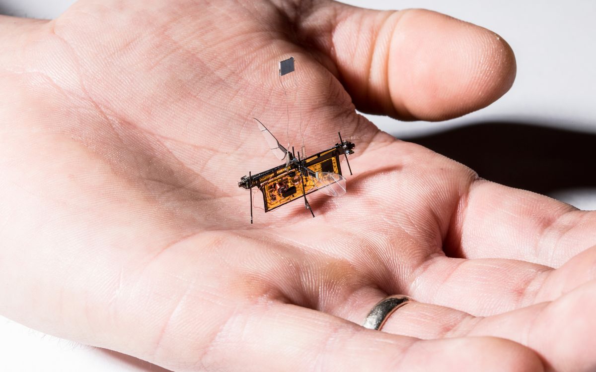 Wireless 'RoboFly' Looks Like an Insect, Gets Its Power from Lasers ...