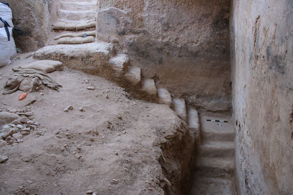 Photos: Biblical-Era Cistern and Carvings Discovered in Israel | Live ...