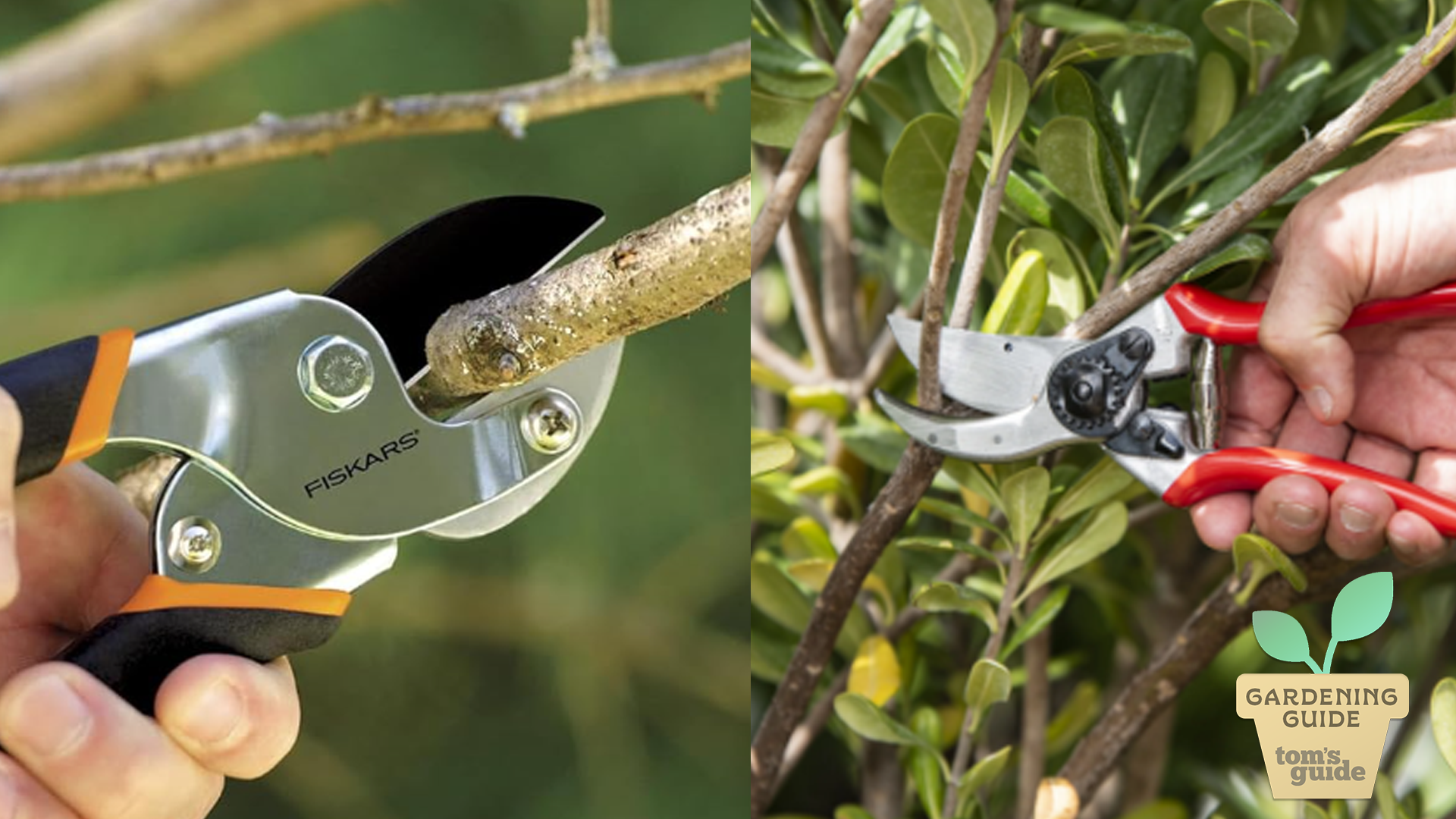 Anvil vs bypass pruning shears — which is right for you? | Tom's Guide
