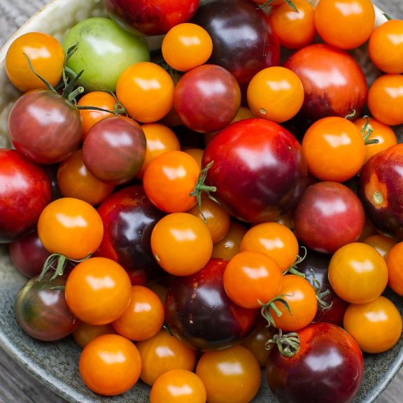History Of Topaz And Violet Jasper Tomatoes | Gardening Know How