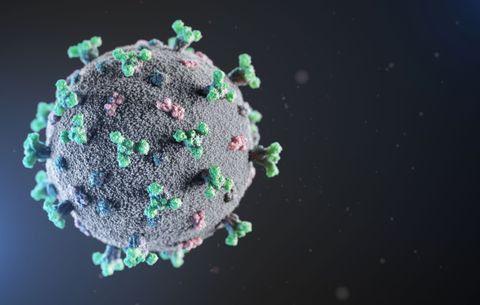 Going Viral: 6 New Findings about Viruses | Live Science