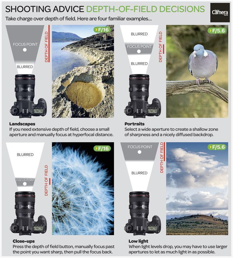 Photography cheat sheet: Depth-of-field decisions | Digital Camera World