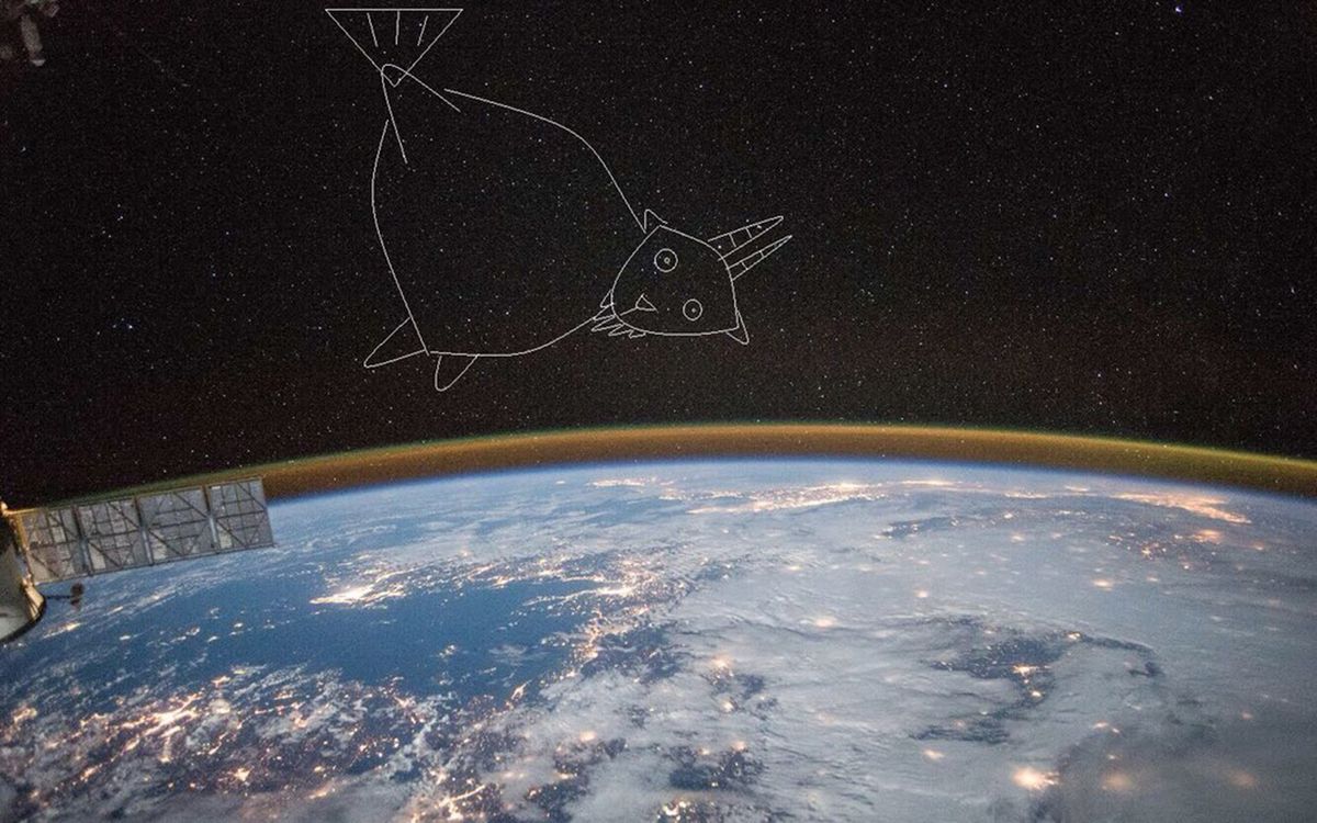 Astronaut Doodles Adorable Constellations on Photos from the ...