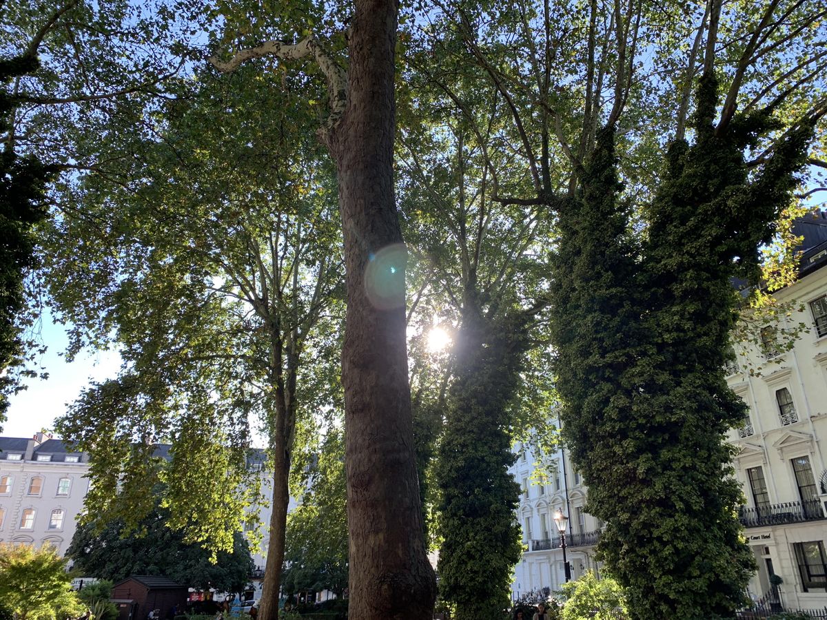 Camera - Camera - iPhone XS review - Page 4 | TechRadar