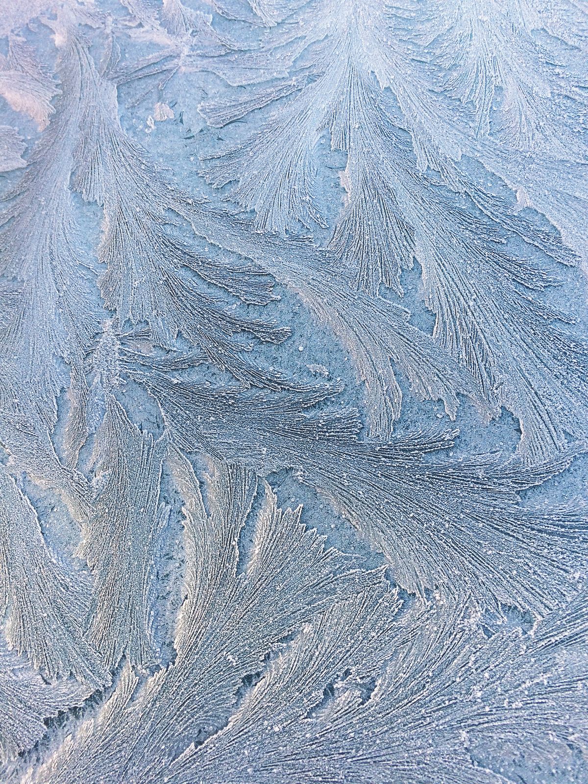 How to add a touch of frost to landscapes | Digital Camera World