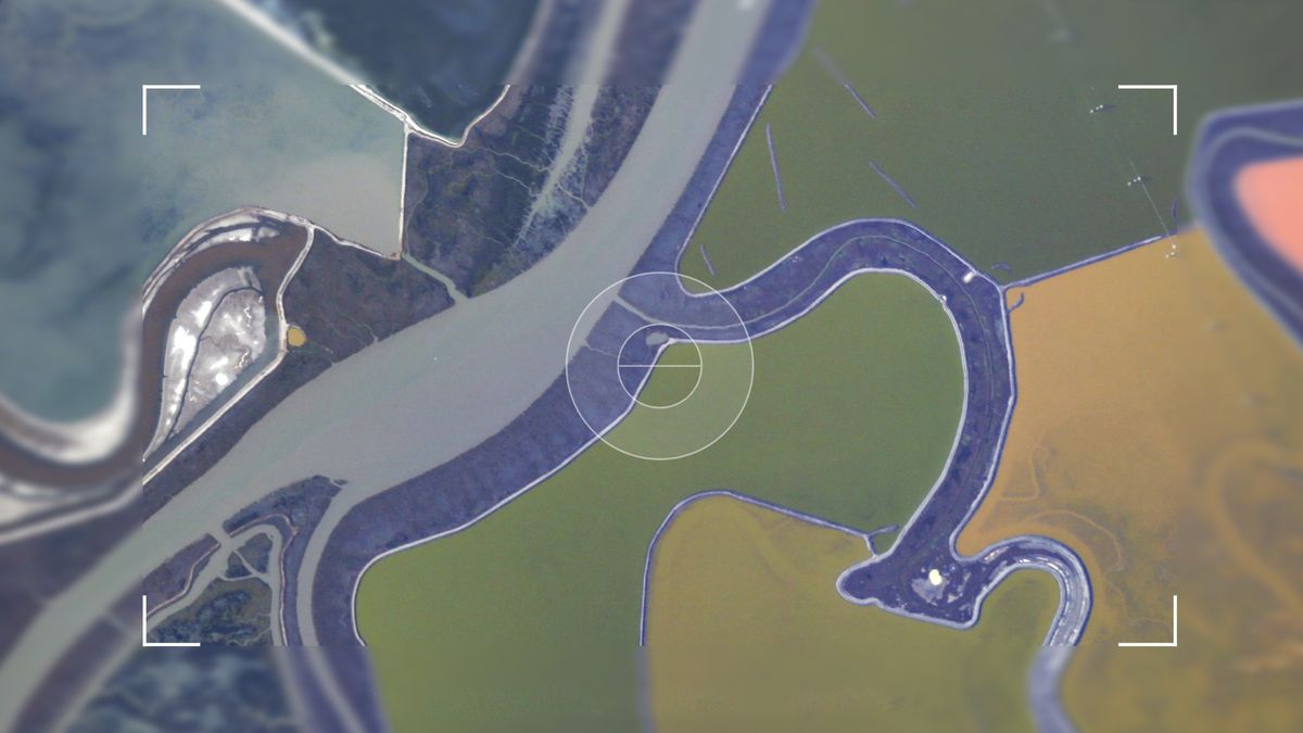 Take your own photos from space, using Canon's imaging satellite ...